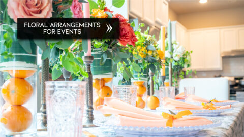 Home - areahomedecor.com